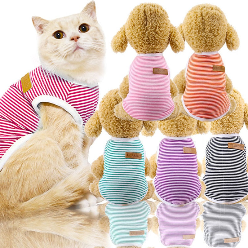 CLASSIC Striped Pet Singlet – The Pampered Pet